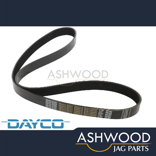 Supercharger Drive Belt Jaguar X100 XKR 4.0 V8 (1998-99) DAYCO ...