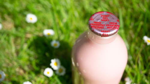 Strawberry Flavoured Milk | Derby Hill Dairy