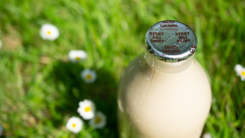 Salted Caramel Flavoured Milk | Derby Hill Dairy