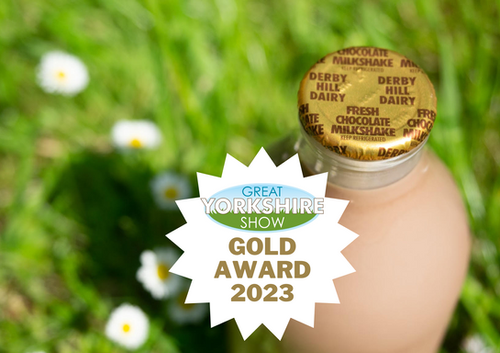 Chocolate Flavoured Milk | Derby Hill Dairy