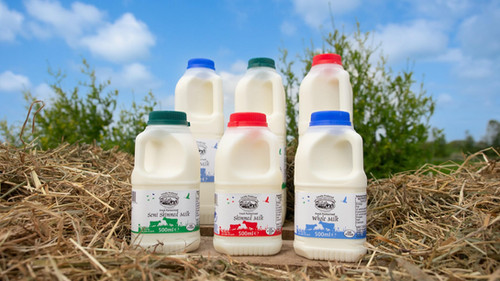 Milk - Poly Containers | Derby Hill Dairy