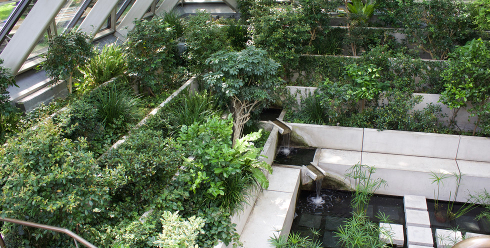 Four Seasons Greenery | Corporate Interior Plants