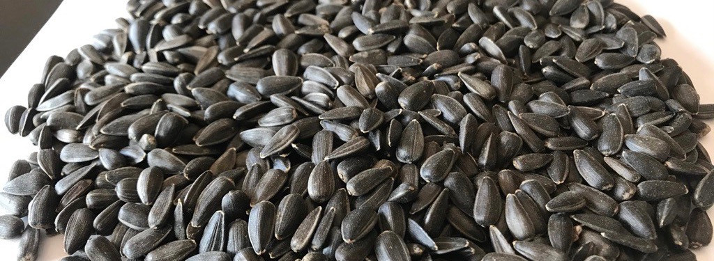 Feed Ingredients | SpringHausagro.com