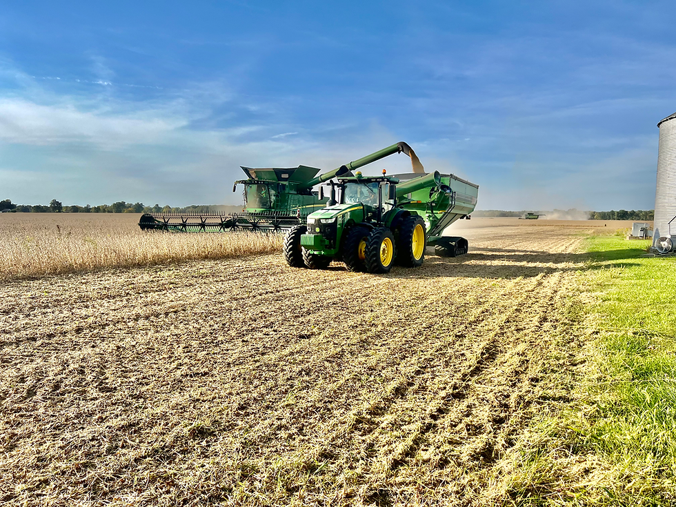 GALLERY | Sweeney Farms