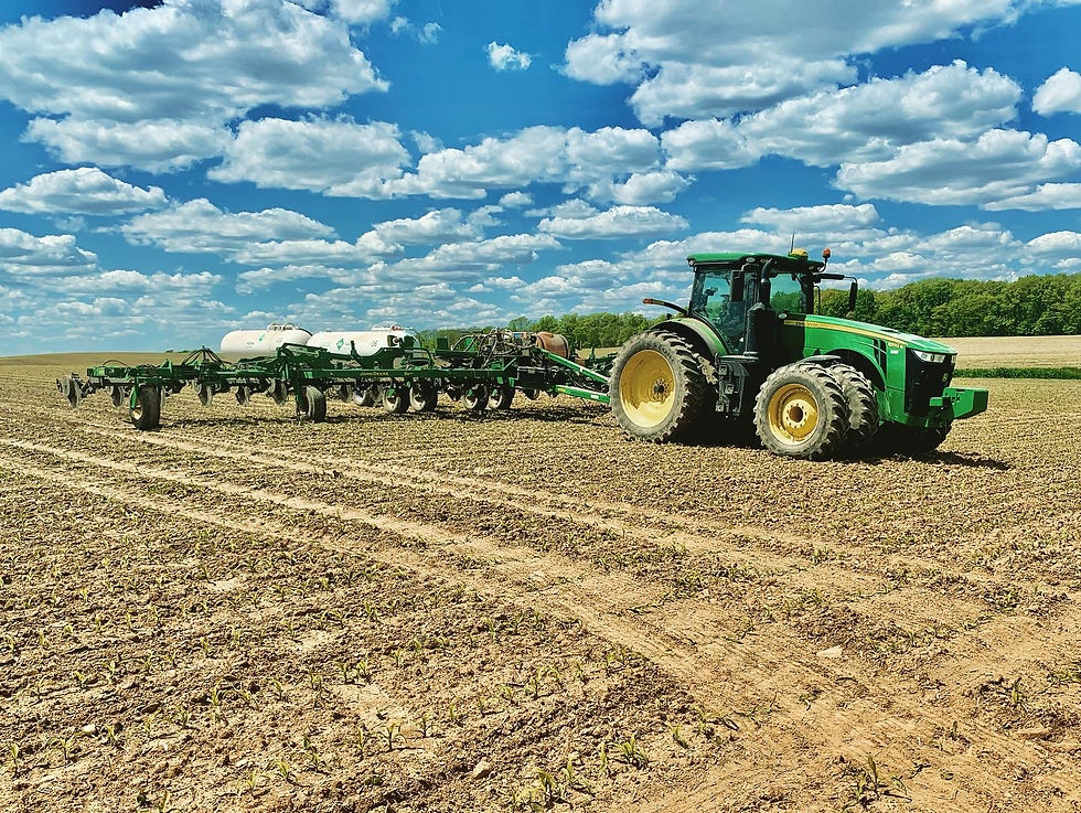 GALLERY | Sweeney Farms