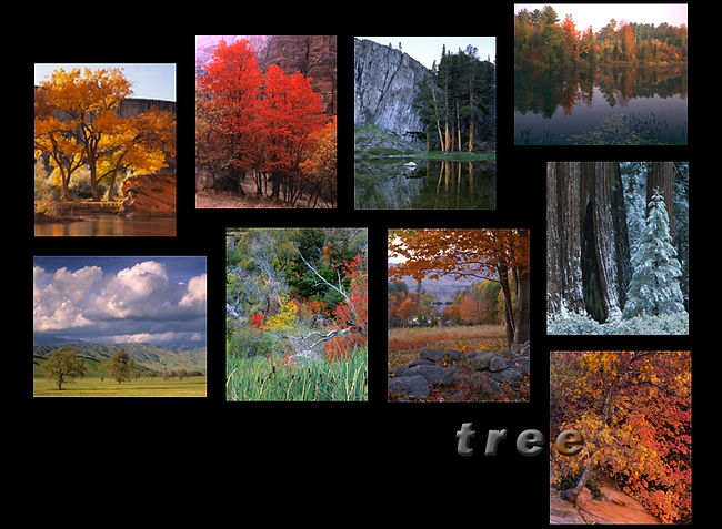 Heidi Vetter | Image Galleries