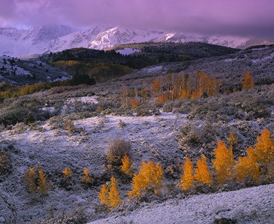 Mountain Gallery | Heidi Vetter