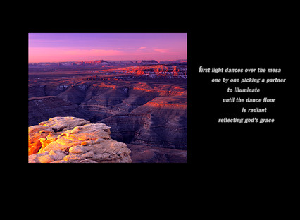 Desert Gallery | Heidi Vetter