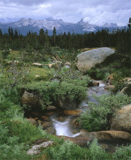 Mountain Gallery | Heidi Vetter