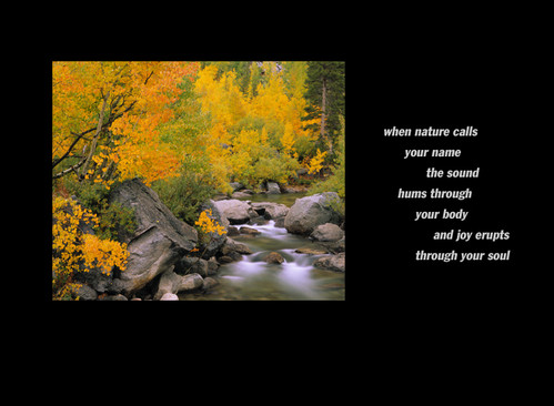 Water Gallery | Heidi Vetter