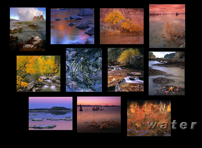 Heidi Vetter | Image Galleries