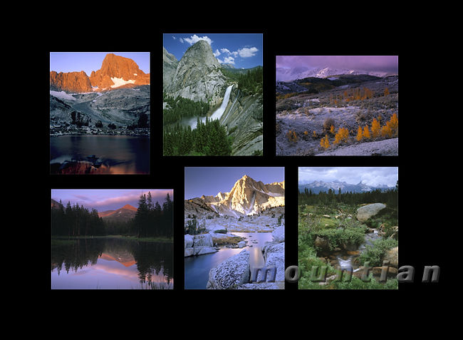 Heidi Vetter | Image Galleries