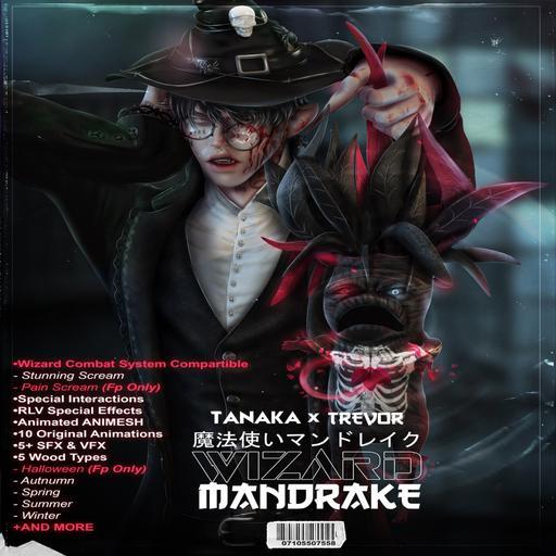 WIZARD MANDRAKE
