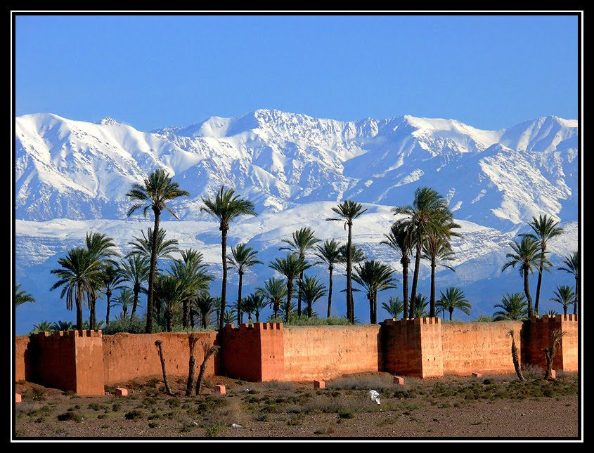 Book your flight.....and happy christmas from marrakech 22°, sunny ...