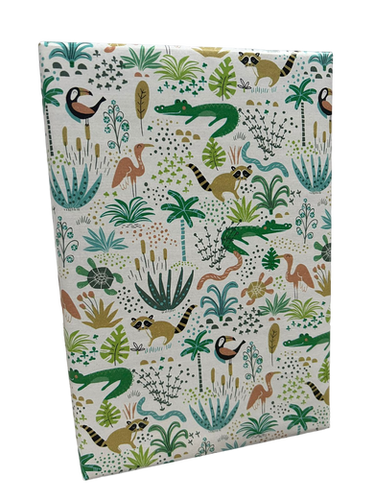 AN-660 RACCOON | giftpop