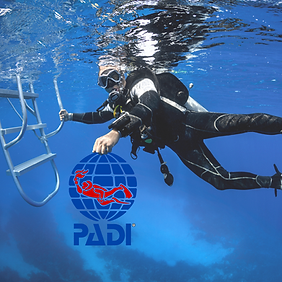 Dive & Snorkel | Islander Watersports