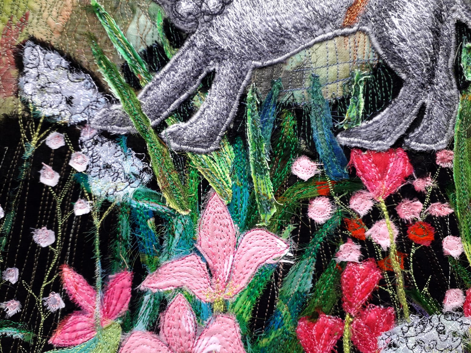 Re-Wilding In The Forest of Dean