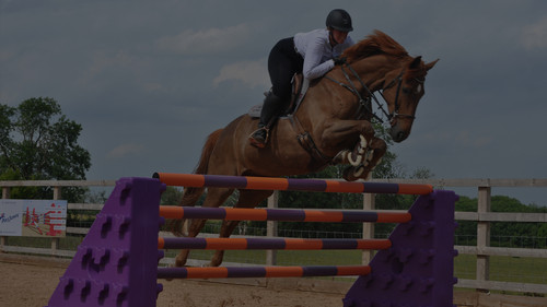 Polyjumps Combi Block Pair | Topline Equine