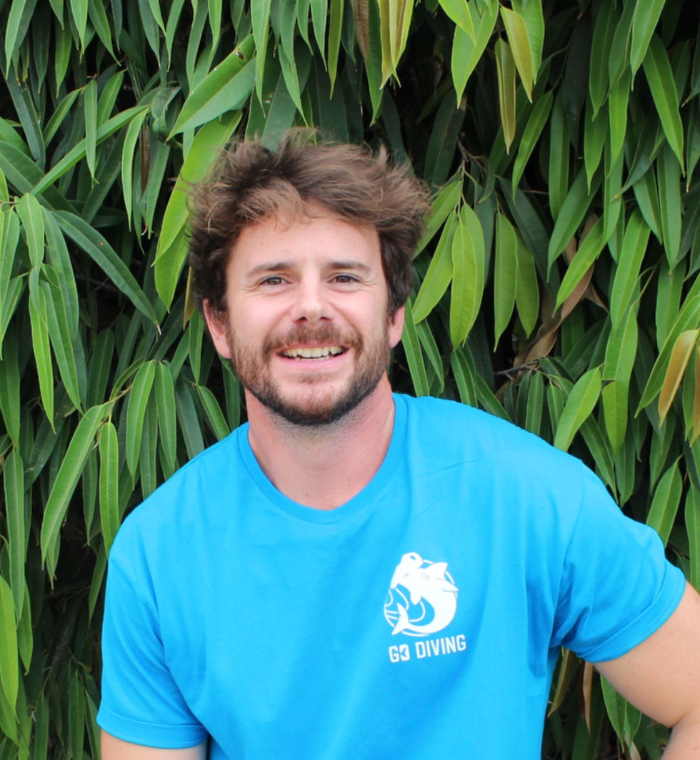 Thoughts after this weeks terrible diver accidents in the Red Sea Egypt.