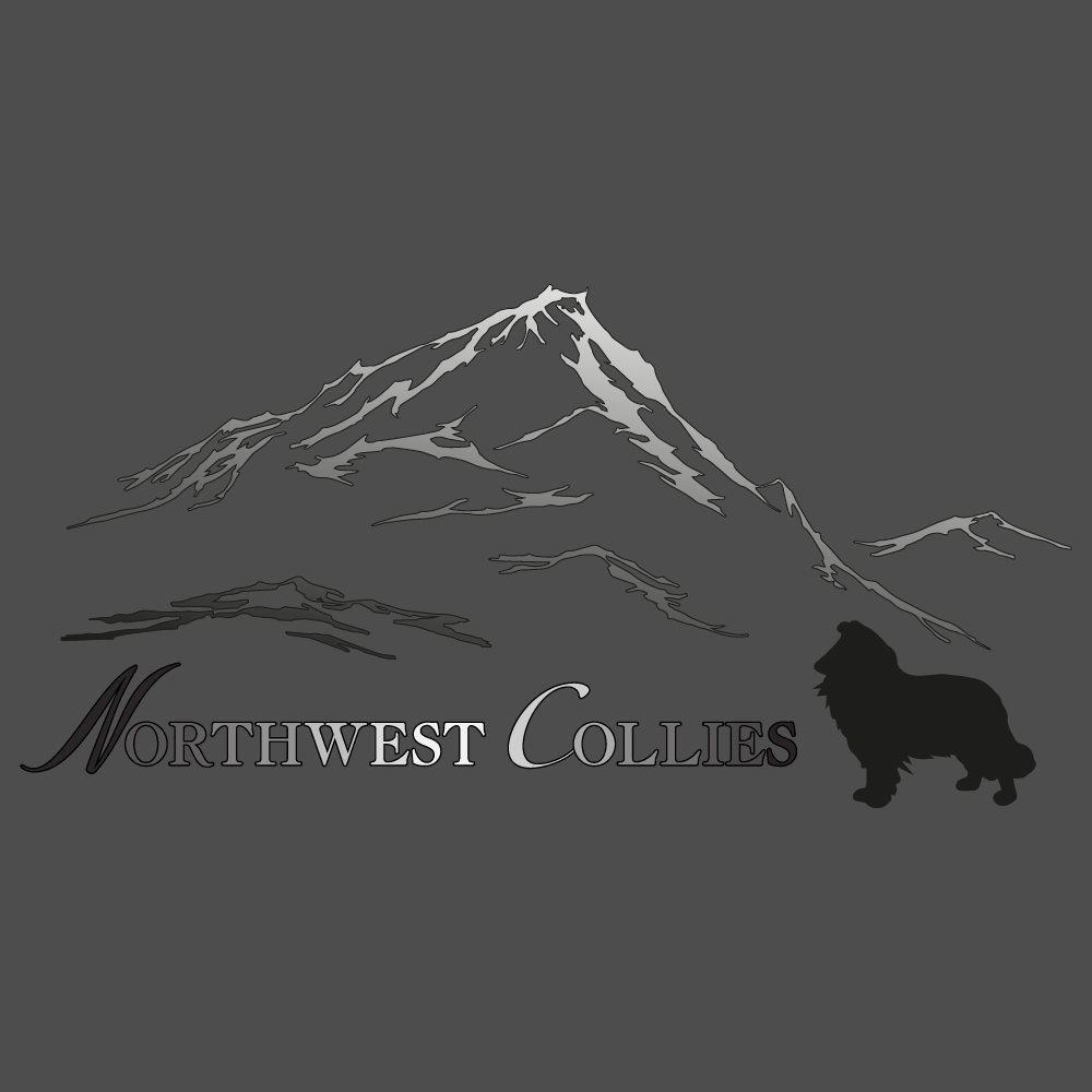 Northwest Collies | Rough Collie Breeder | Washington