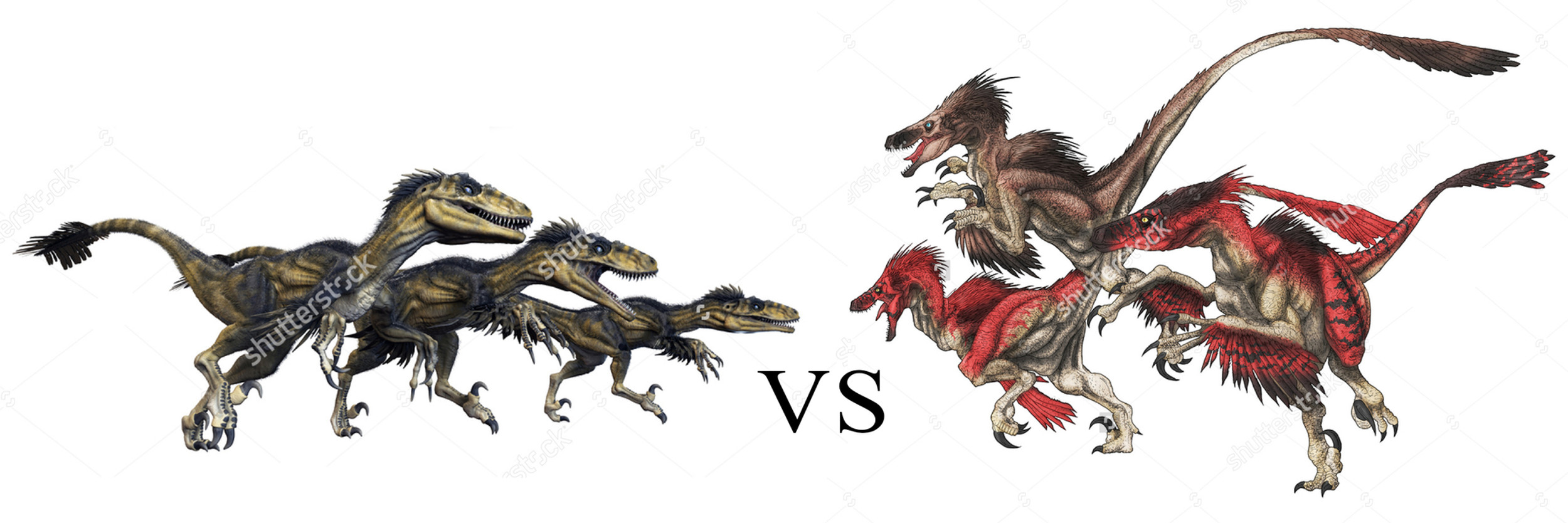 Raptor vs. Raptor
