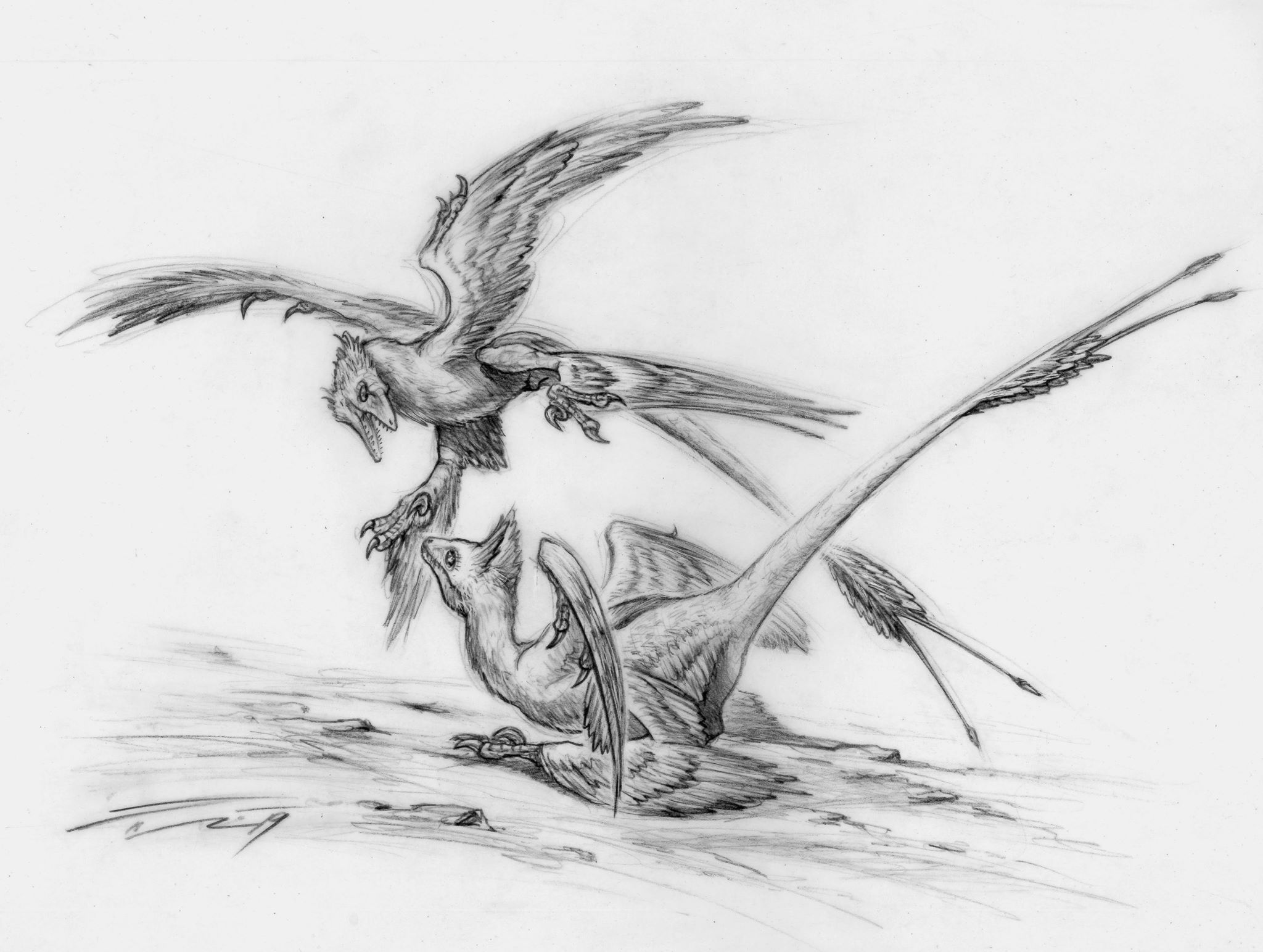 Paleo Artists | jurassicjabber