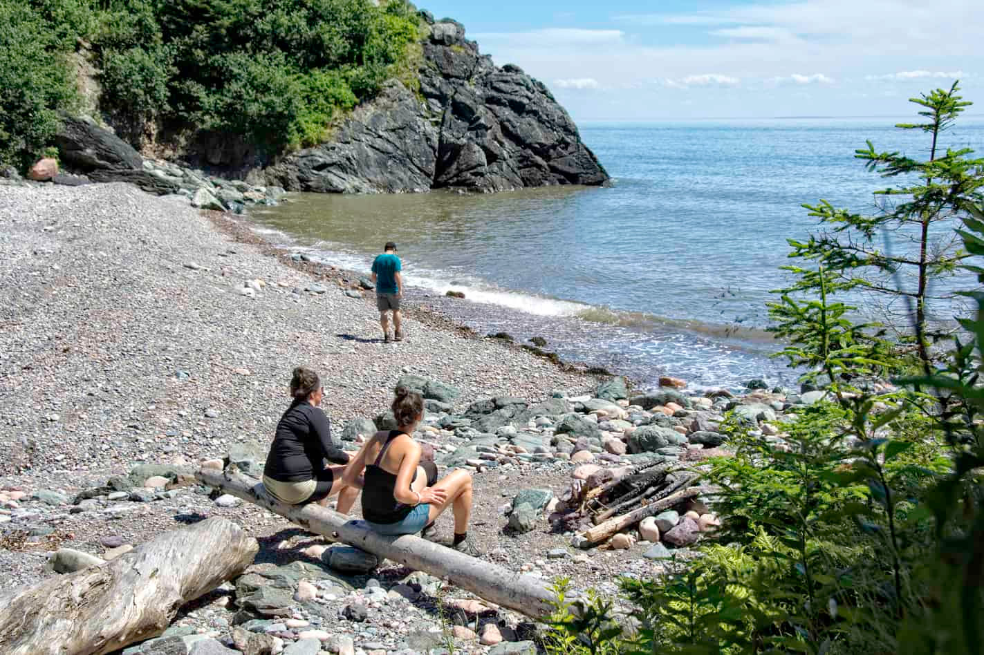 Seely Beach | Fundy Woods