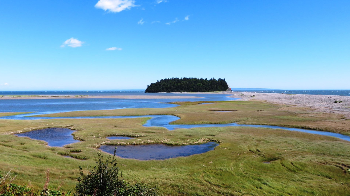 Martin Head Lookout | Fundy Woods