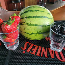 Gallery | High Octane Saloon