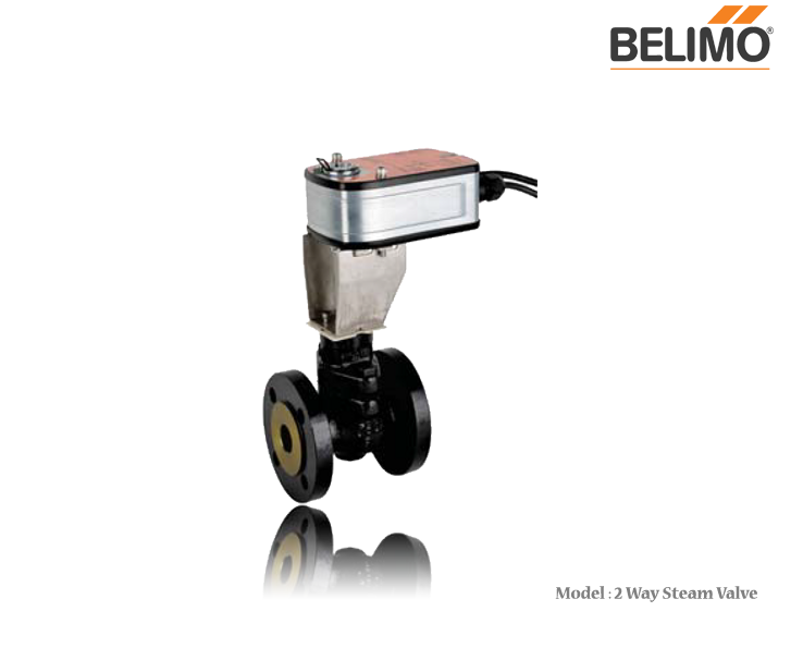 Steam Control Valve | Advance In Flo