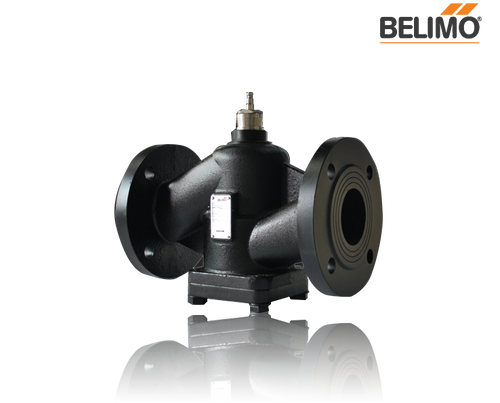 Globe Control Valve | Advance In Flo