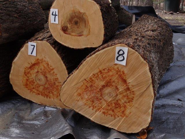 A Load of Box Elder Logs