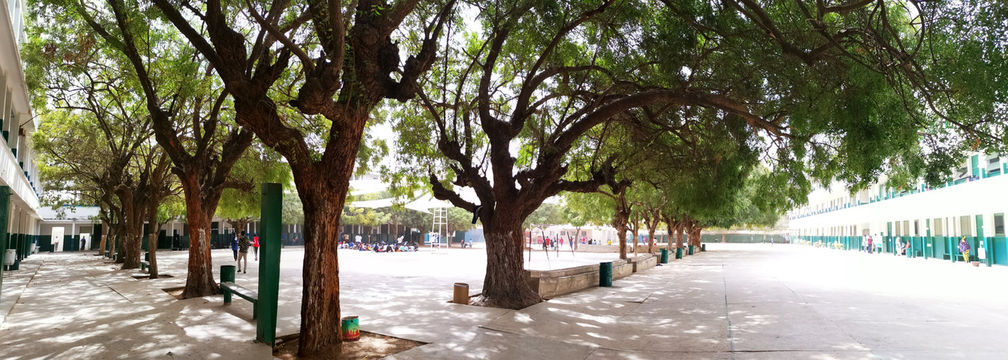 acceuil | College Notre Dame Du Liban Dakar