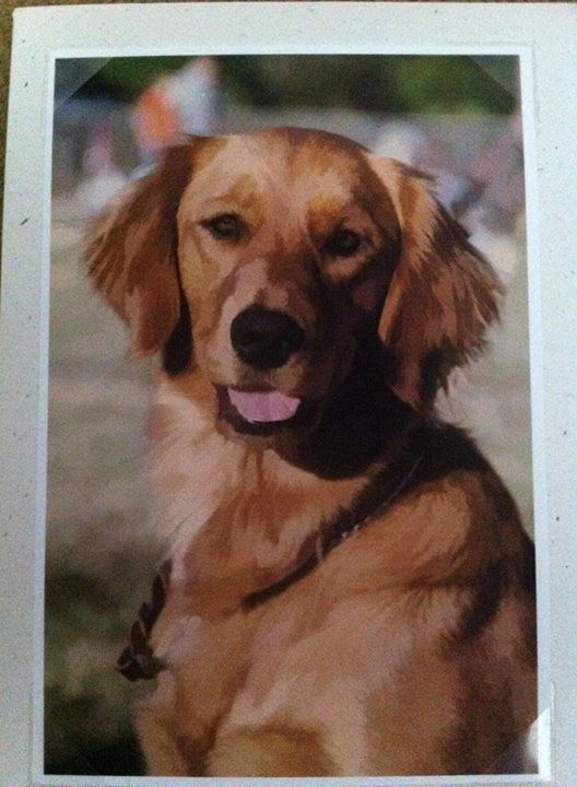 Pictures of 7-L Farm's Dogs and Puppies