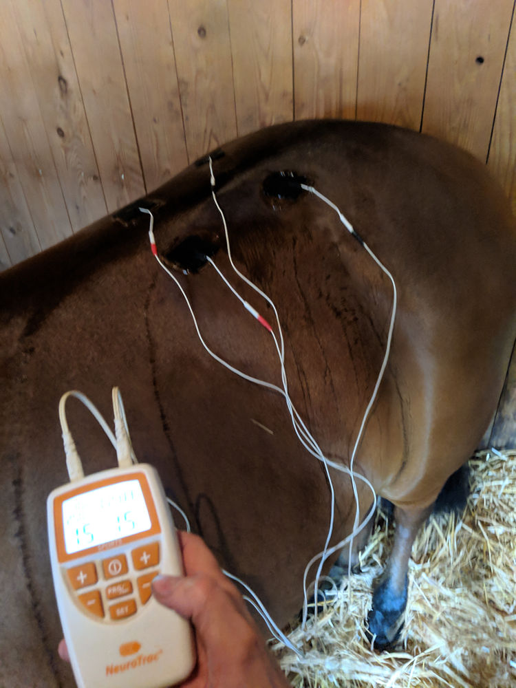Treatment techniques. . . .What is Electrotherapy?