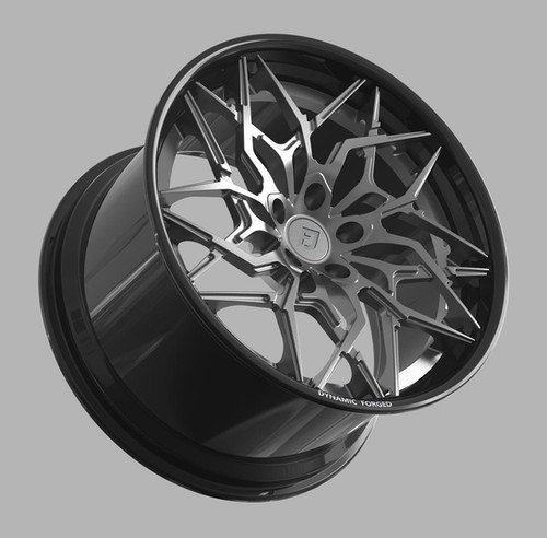 Fighter | Dynamic Forged