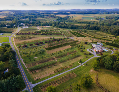 Photos/Videos | KingsTreeFarm