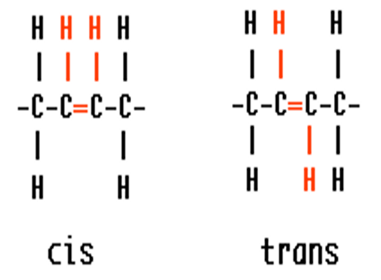 Lipids: Structure, Digestion, Absorption | Syracuse University