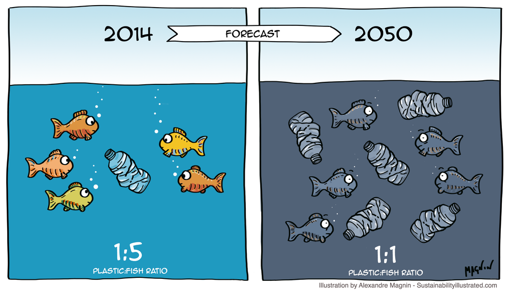 Characterizing the Issues Facing the Oceans & Their Impacts