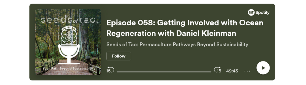 News | Seaworthy Collective