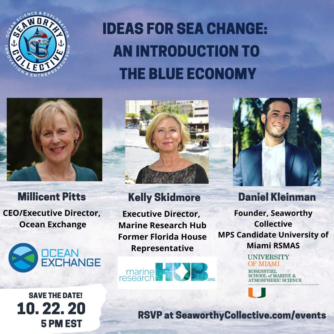 Ideas for Sea Change: An Introduction to the Blue Economy | Seaworthy ...