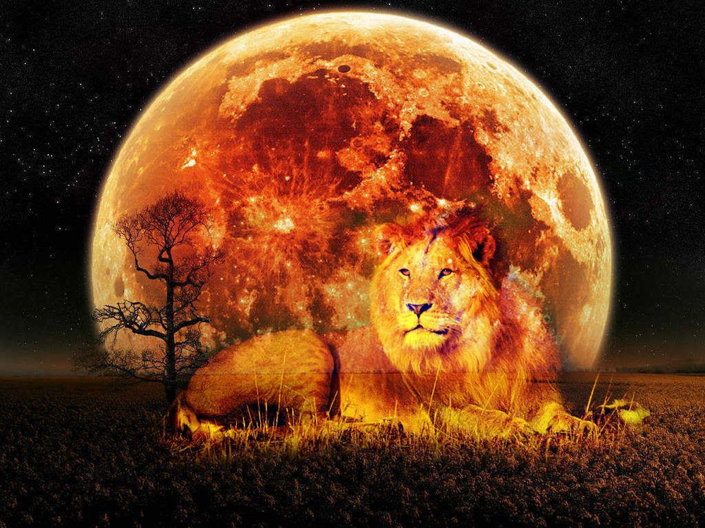 SUPER FULL MOON IN LEO: INNER CHILD COMES OUT TO PLAY/KARMIC ...
