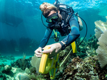 Marine Conservation & Divemaster | WSORC