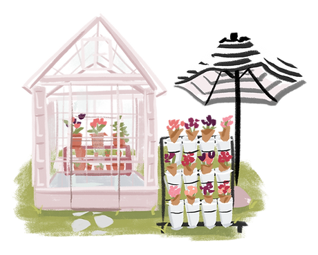 Willow Tree Flower Market | Fresh Flower Farm | Michigan