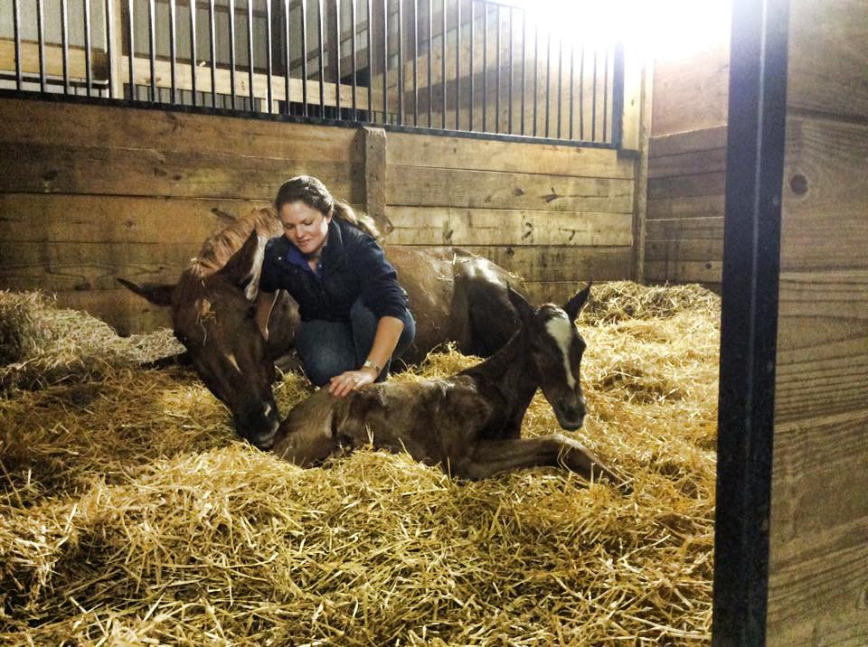 Foaling Services | WHE - Virginia