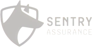 Sentry Assurance | Critical Security Insight Without Disruption