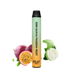 Iplay Max | High Society