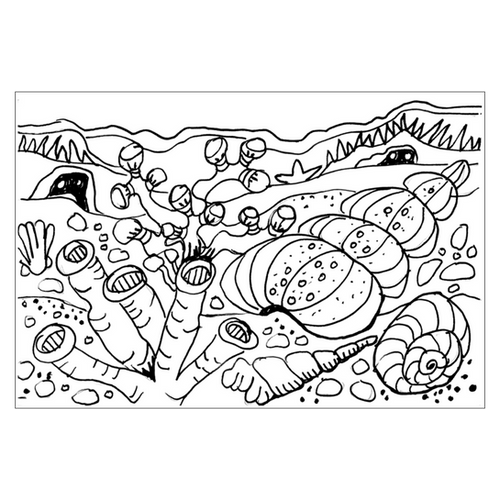 Seaside Scenes | COLORpockit