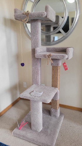Buy Cozy Cat Towers | Double Bed Towers in Alberta