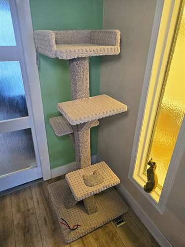 High Perch - 5' | Lucky Kitten Place